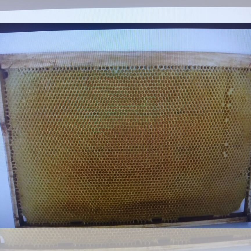 Рамки сушь дадан, светло коричневые