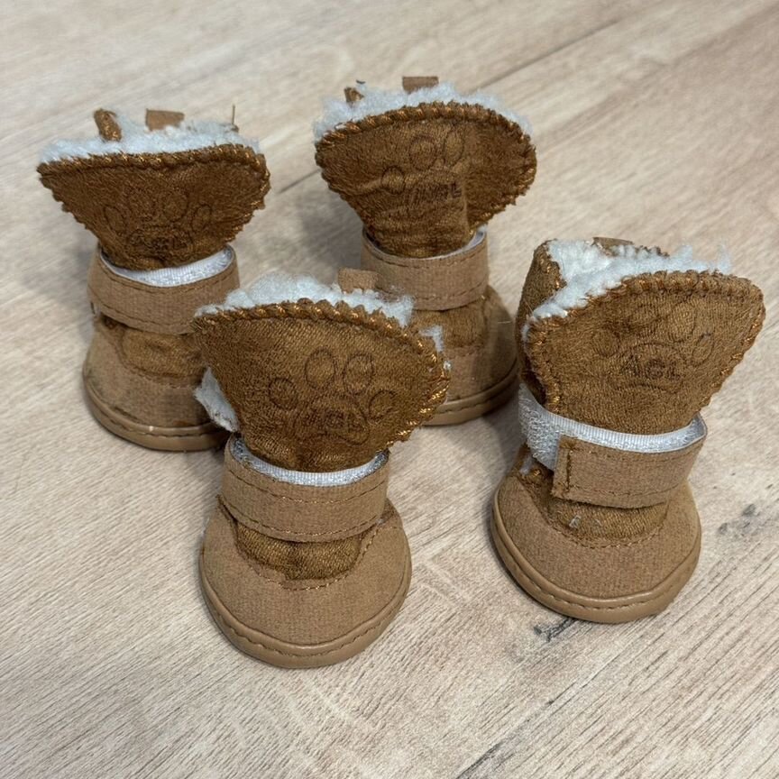 Ботинки для маленьких собак