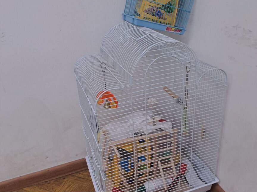 Клетка для попугая бу