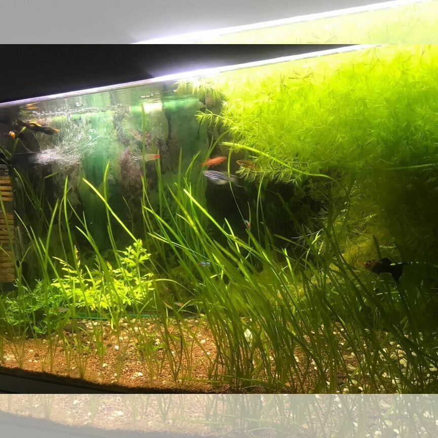 Аквариум с тумбой 200л