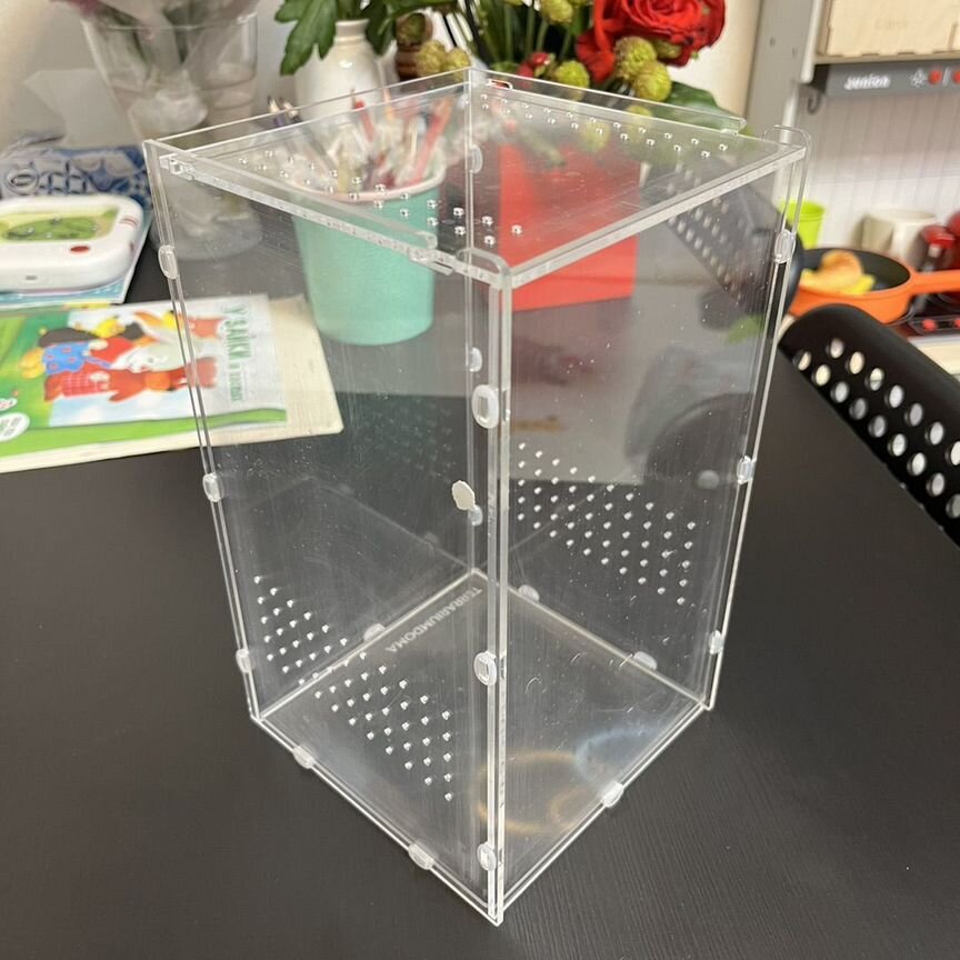 Террариум для богомола