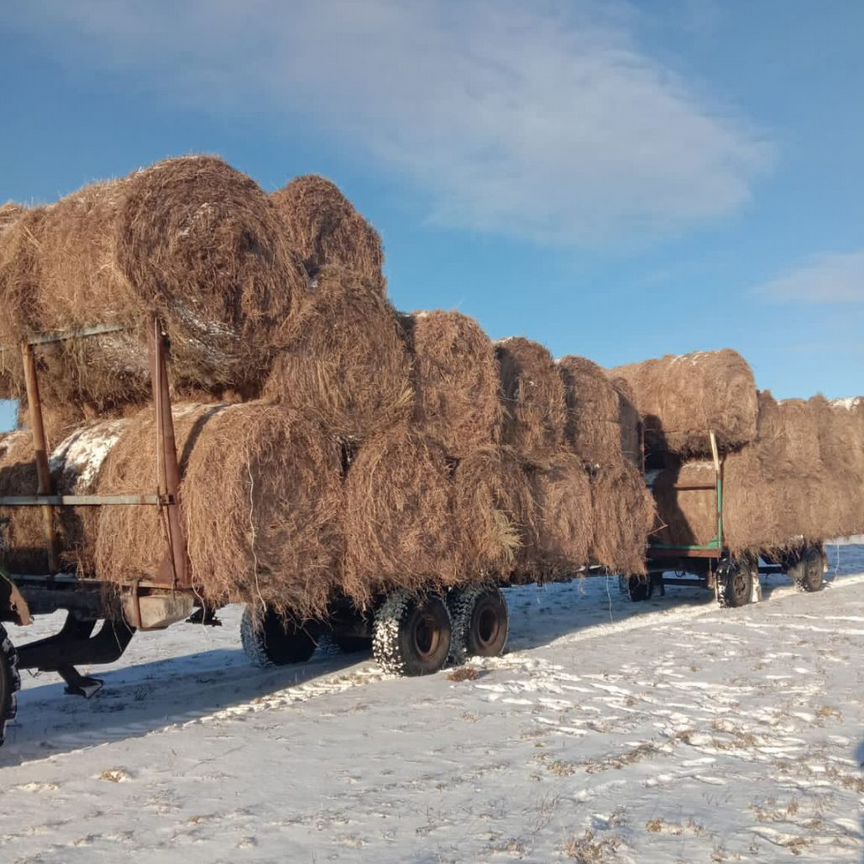 Сено в тюках