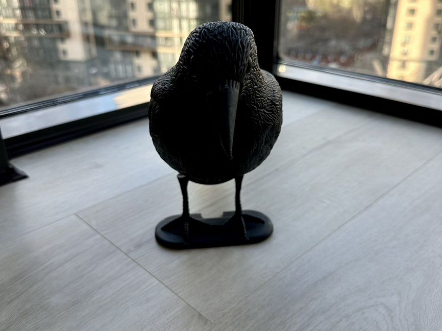 Визуальный отпугиватешь птиц Ворон