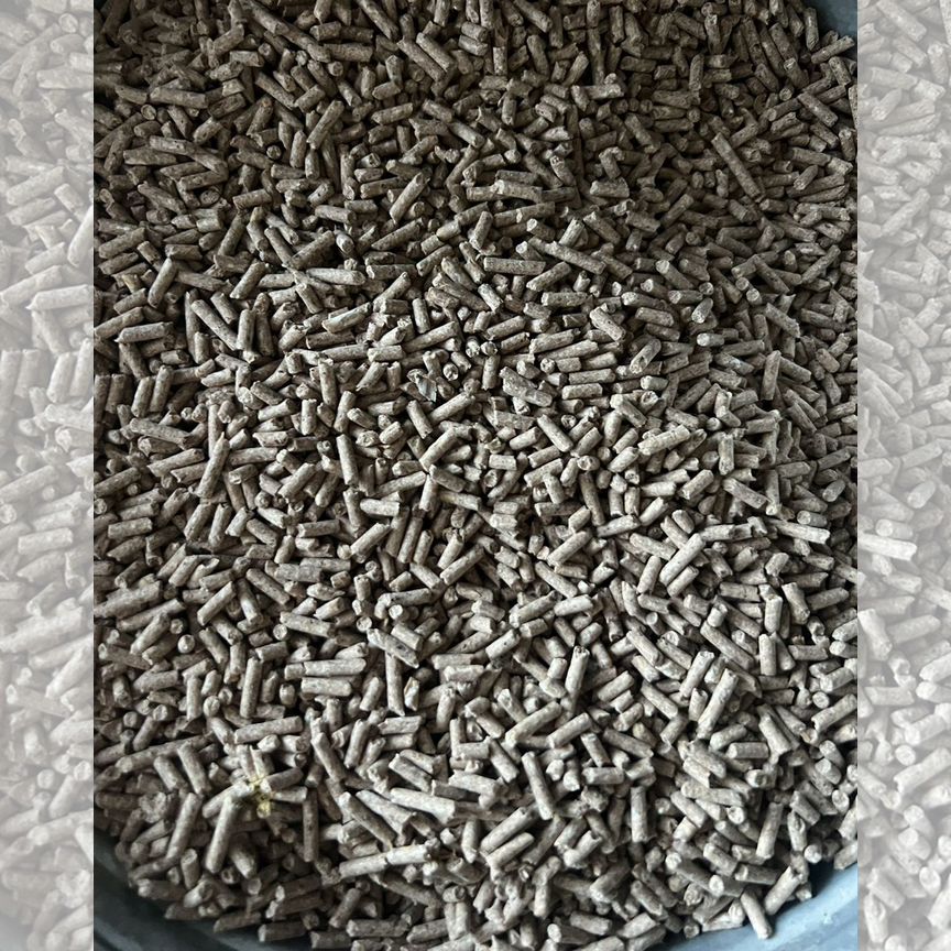 Корм для кур несушек