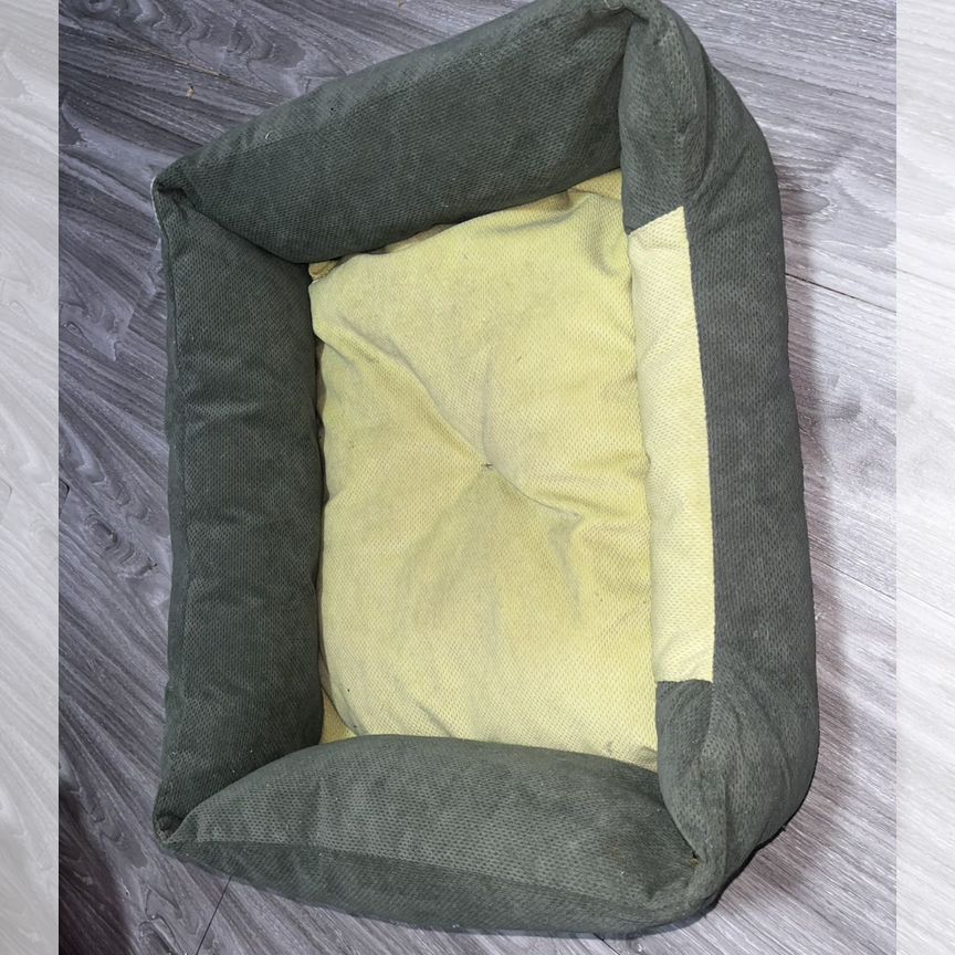 Большая лежанка и лоток