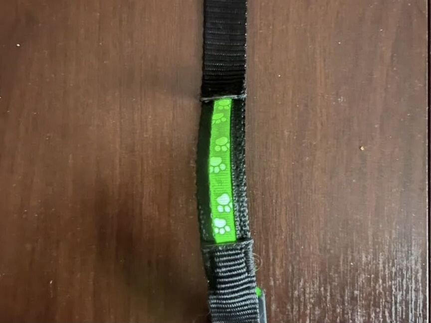 Ошейник для собак