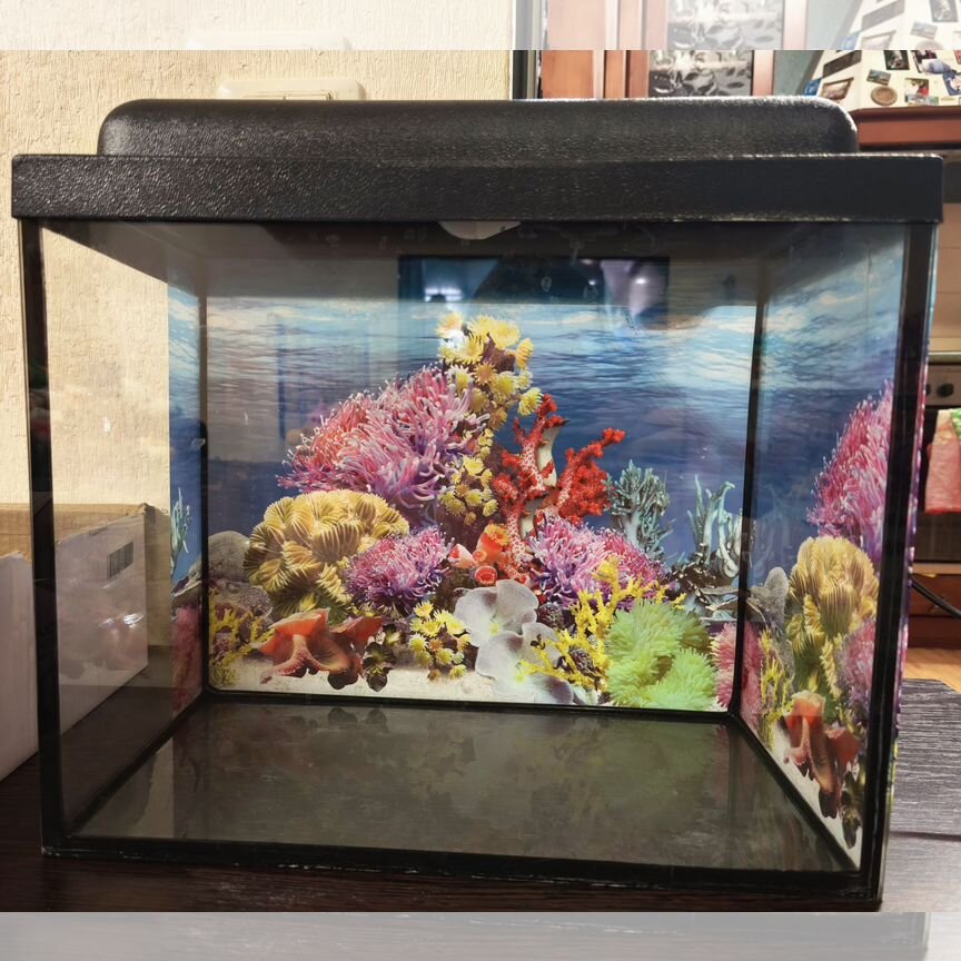 Аквариум с принадлежностями