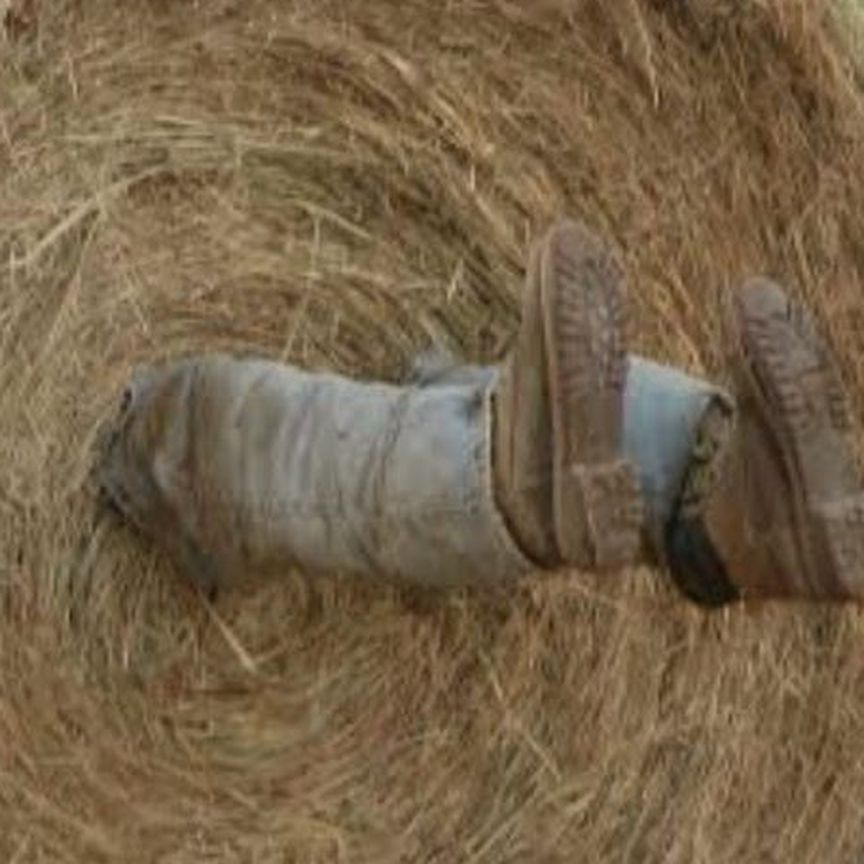 Сено 2025г в рулонах разнотравие с доставкой