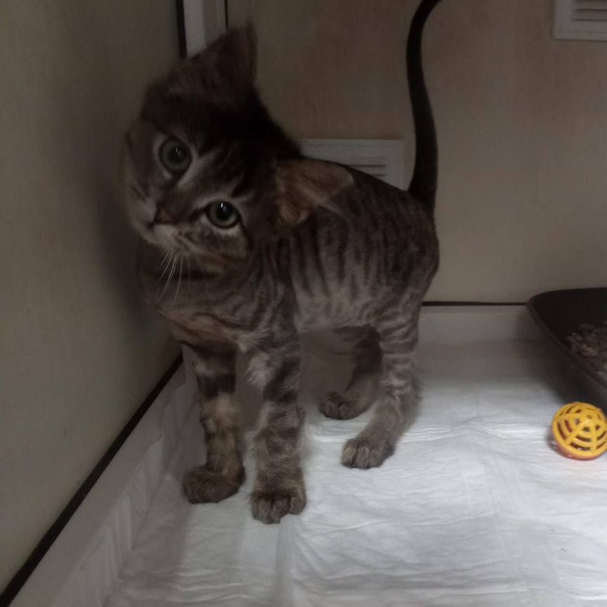 Детка в клетке,а хотелось бы дома,в семье