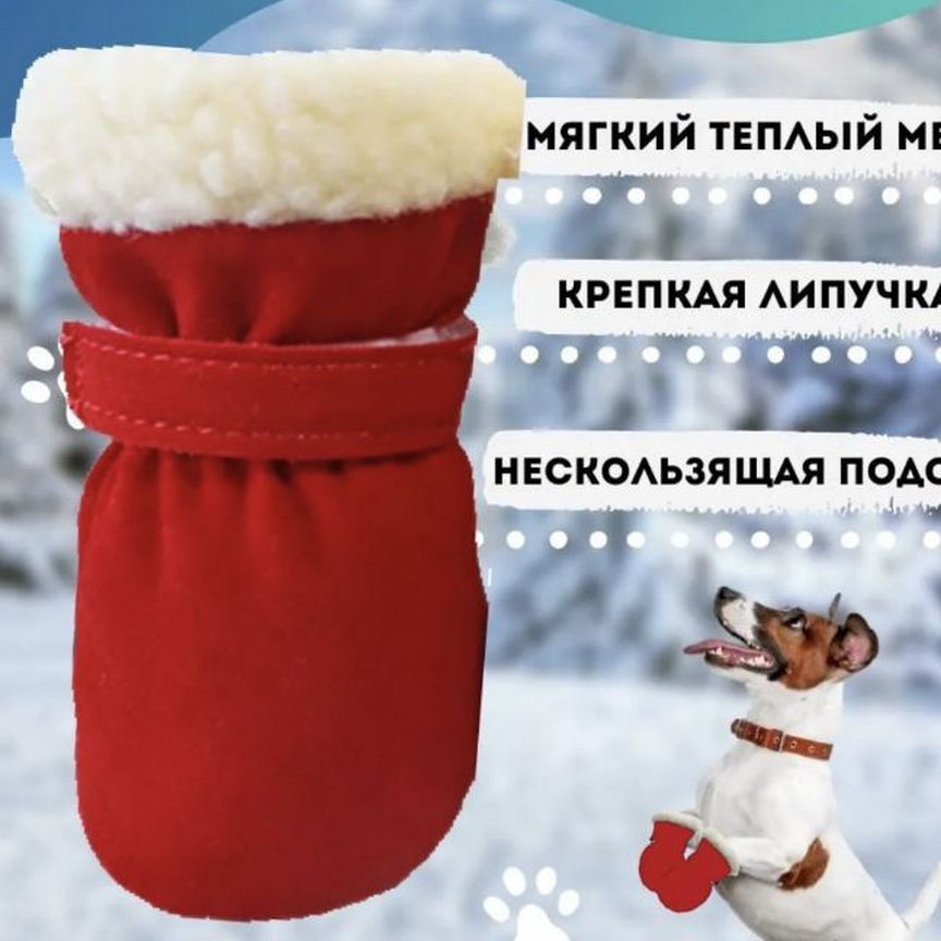 Зимняя обувь для собак