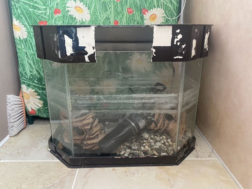 Аквариум для черепах