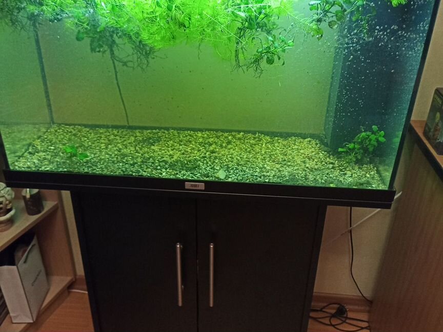 Аквариум juwel 120 литров с тумбой