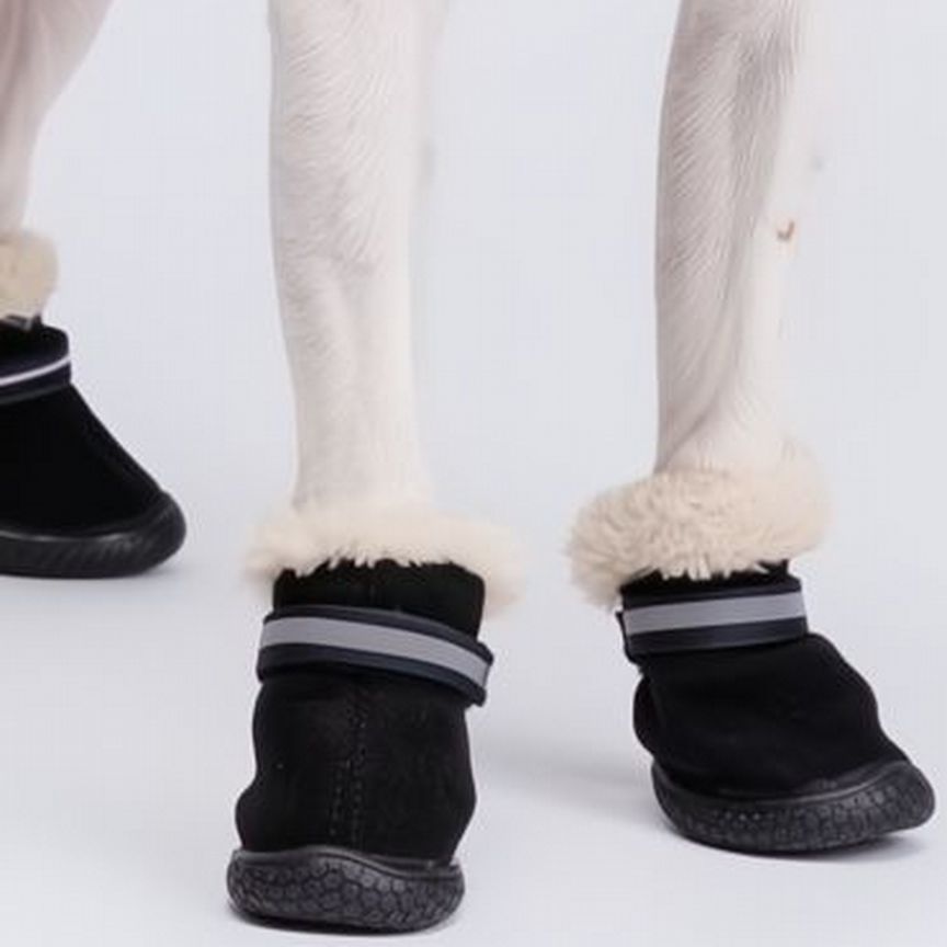 Обувь для собак мелких пород