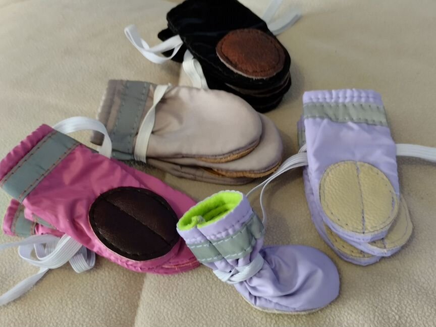 Зимняя обувь для собачек