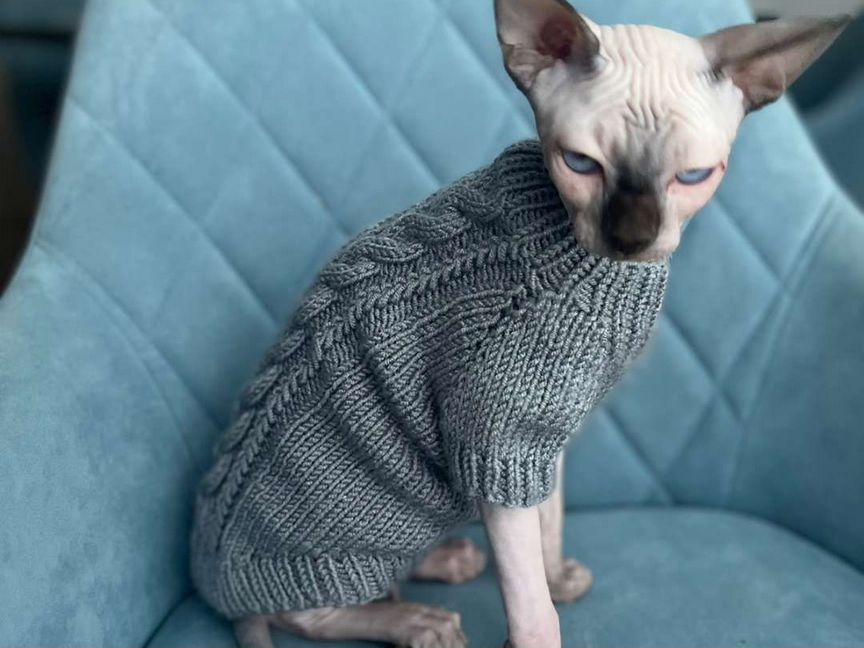 Одежда, кофта, свитер для сфинкса, собак, котов