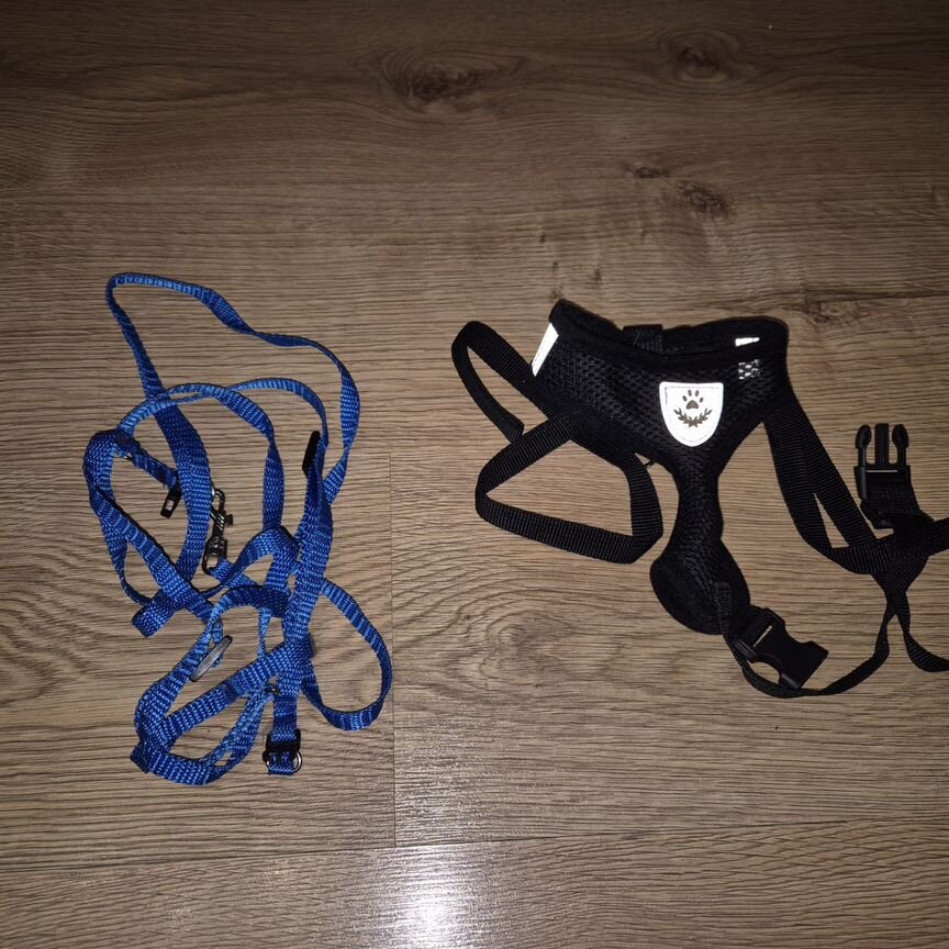 Поводок (шлейка) для кошек