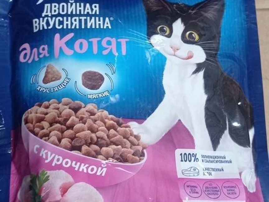 Сухой корм для котят