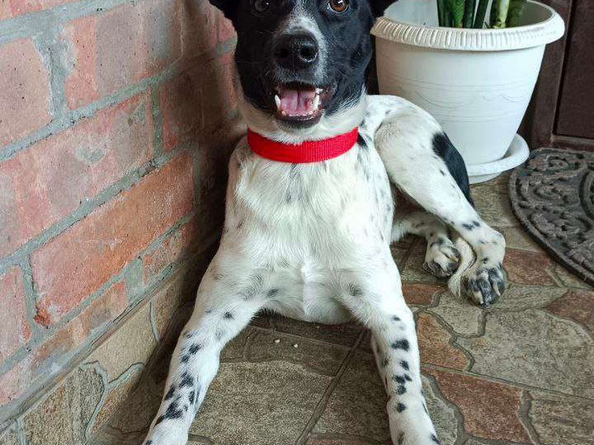 Джек ищет семью