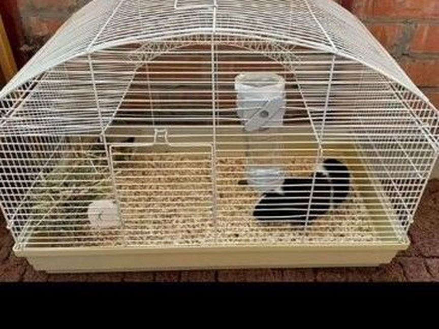 Клетка для грызунов большая