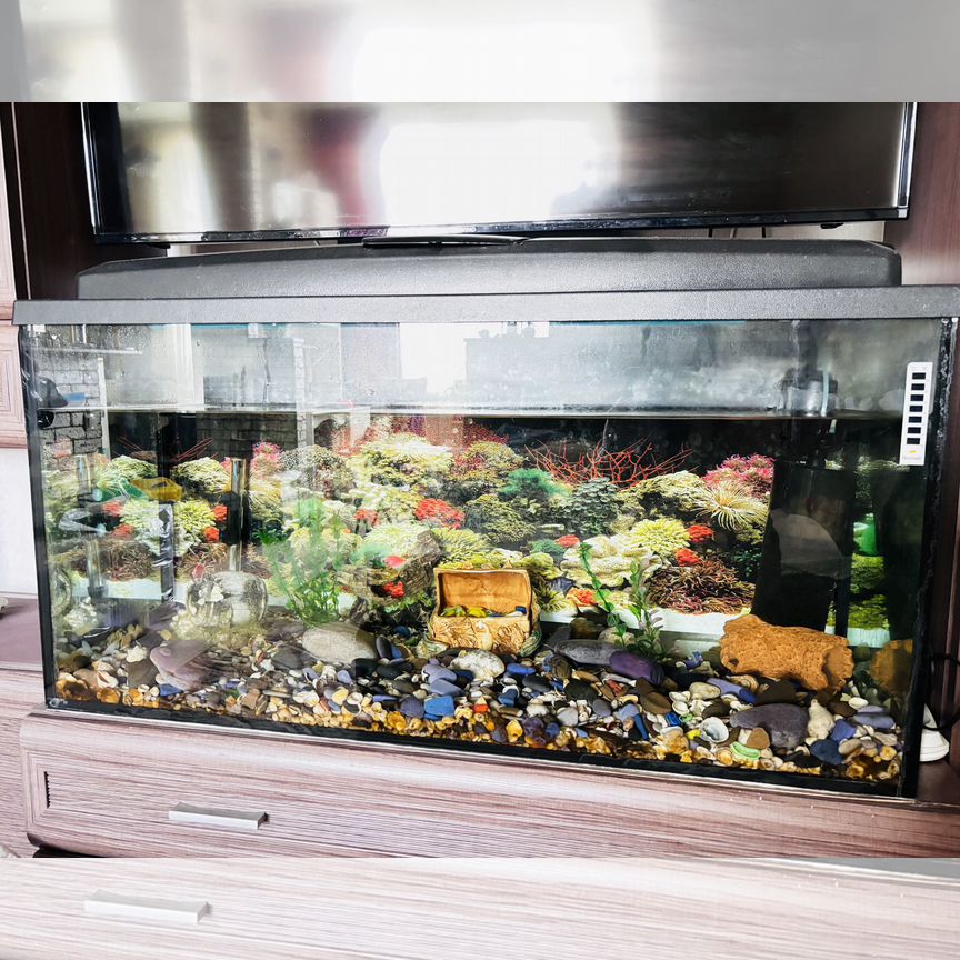 Аквариум 200 литров