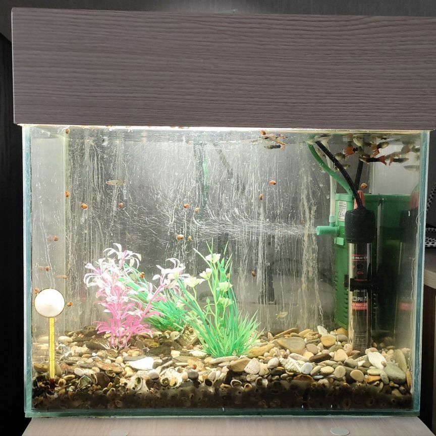 Аквариум с рыбками