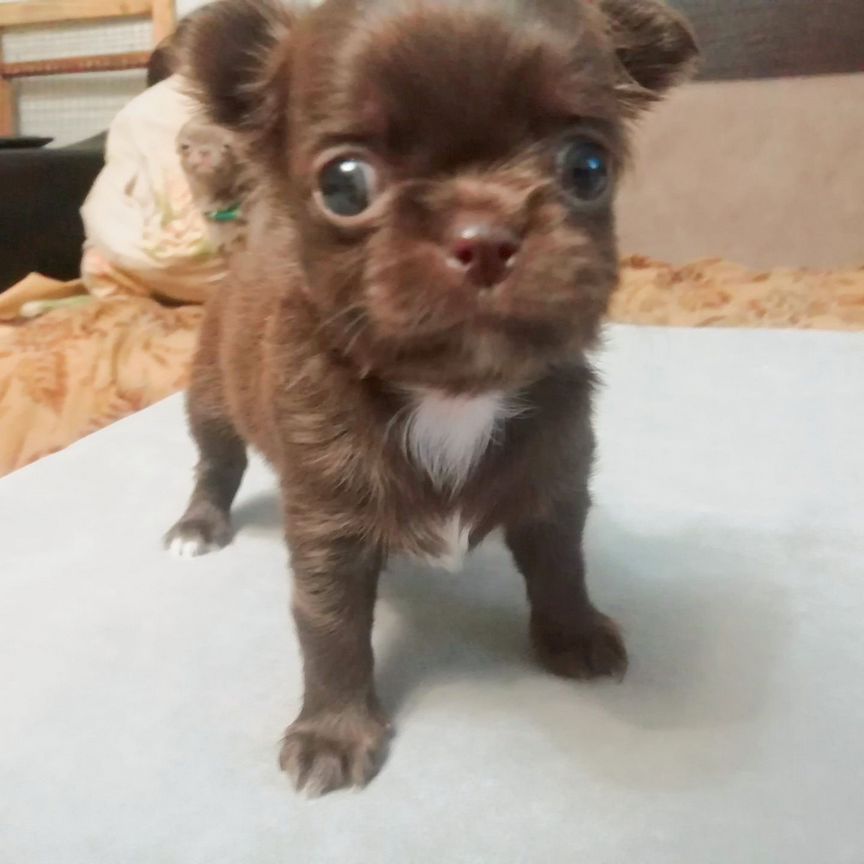 Брутальный парень