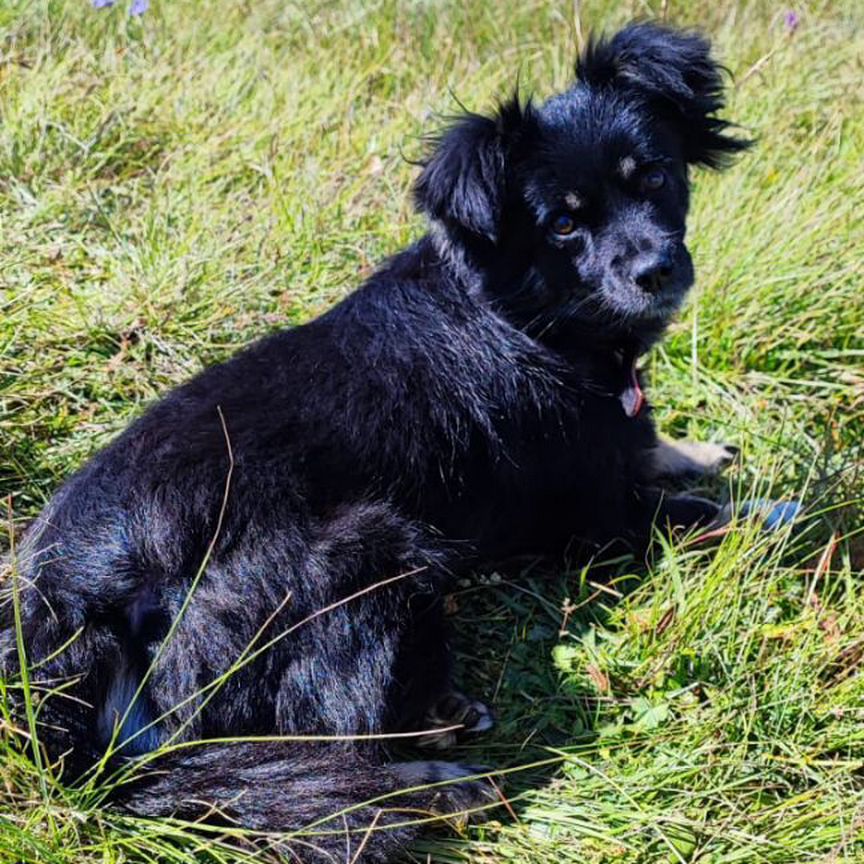 Мисс очарование, ждет мам пап