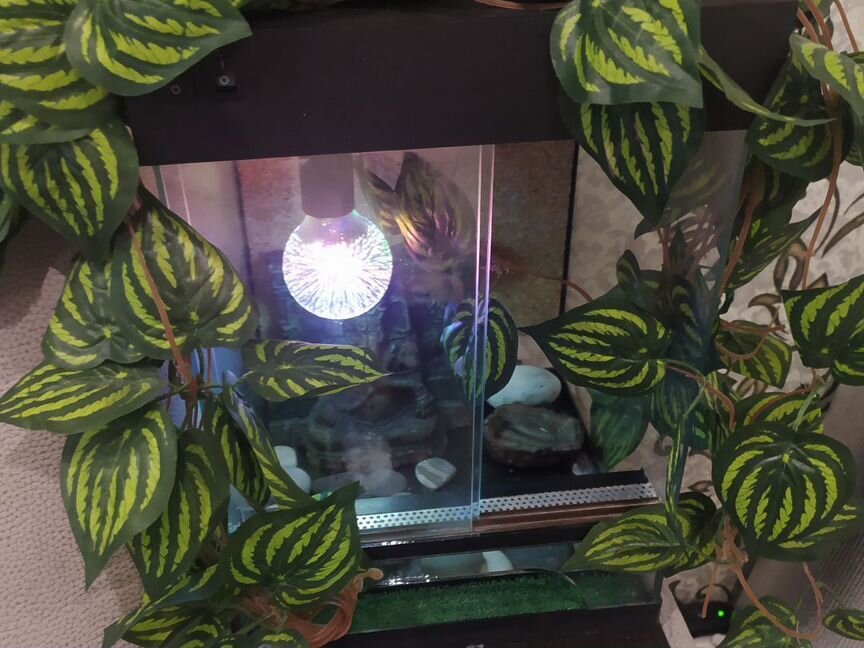 Террариум для рептилий полный комплект