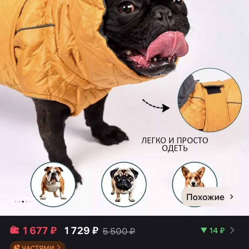 Куртка для собак зимняя
