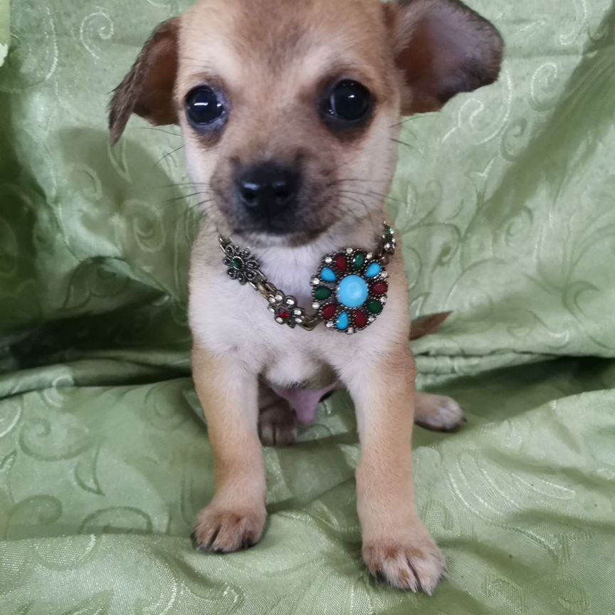 Мальчик красавчик