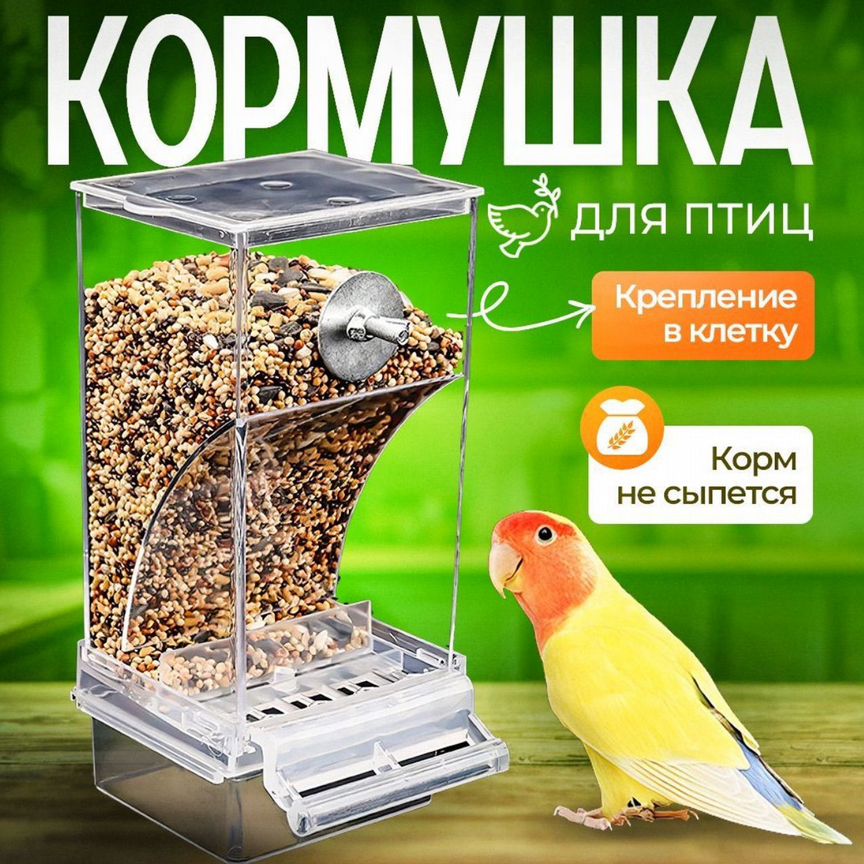 Кормушка для птиц прозрачная