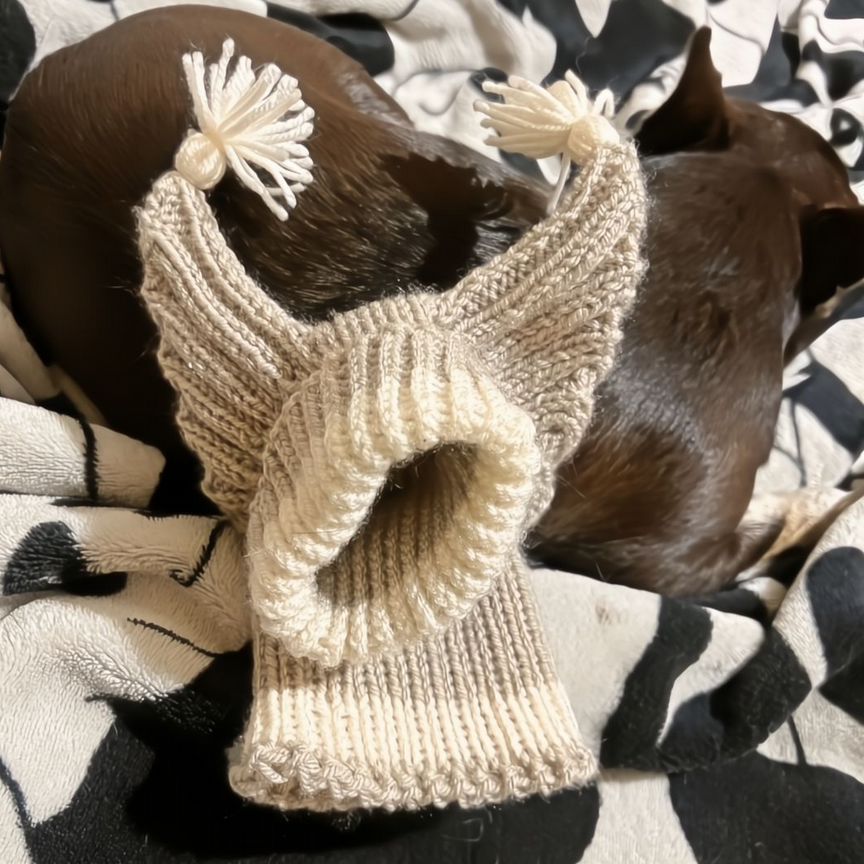 Шапка для собак мелких пород