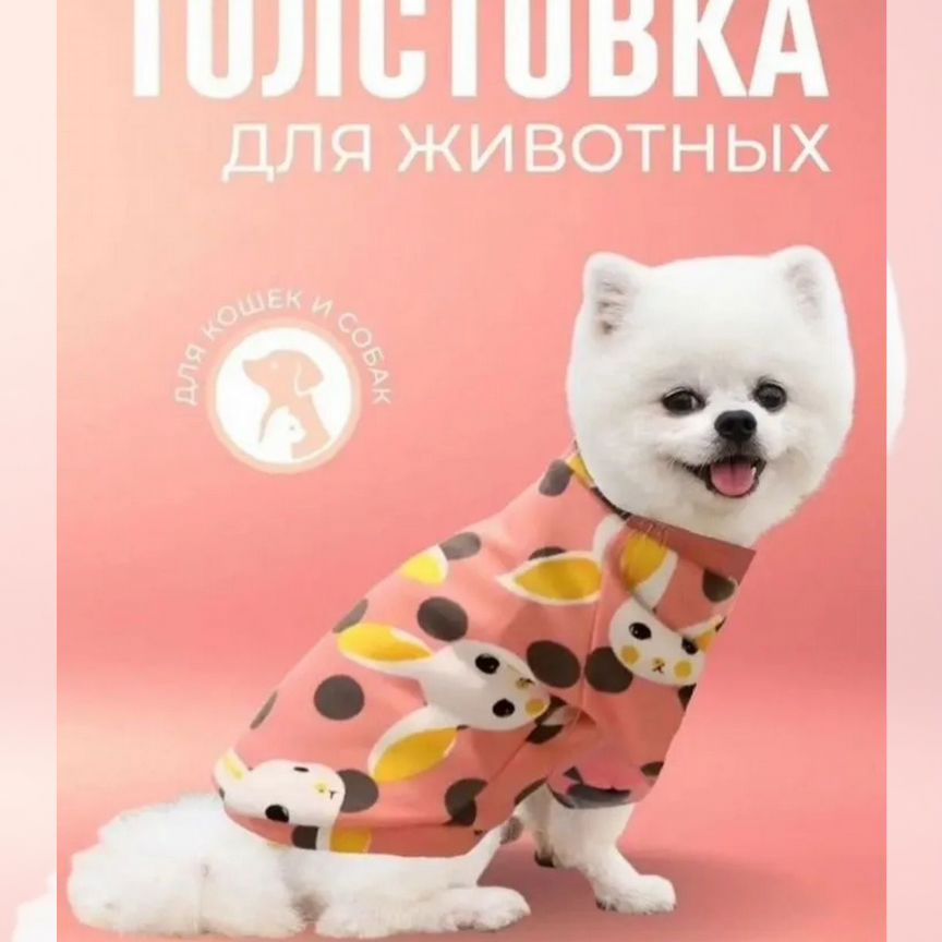 Одежда для собак и кошек