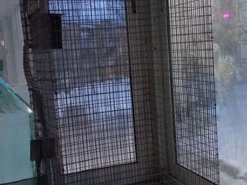 Клетка для грызунов бу