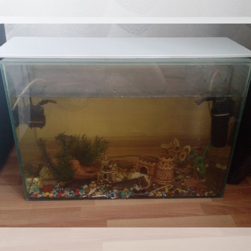 Аквариум 100л,с рыбами