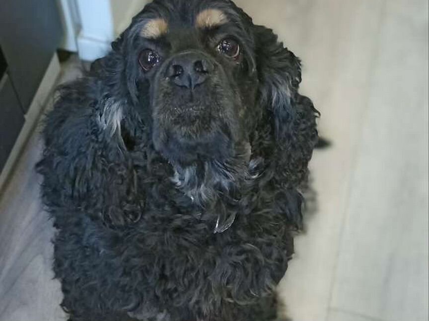 Ищем невесту