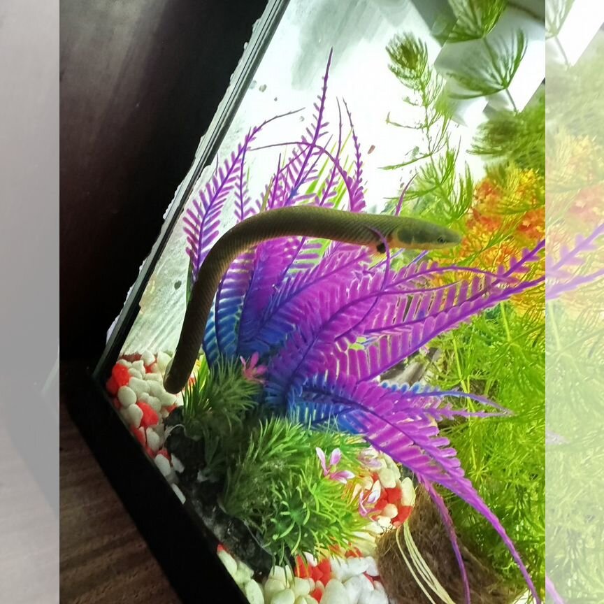 Аквариум 45л