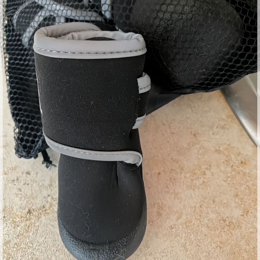 Ботинки для собак