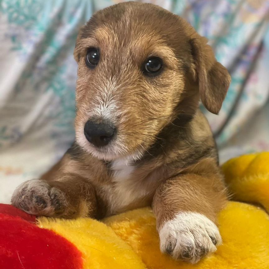 Мальчик в приюте 2 мес