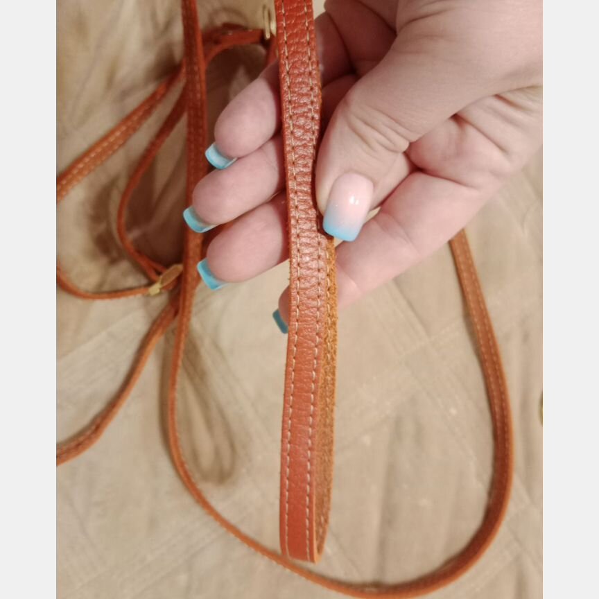 Кожаный поводок и шлейка для малых пород