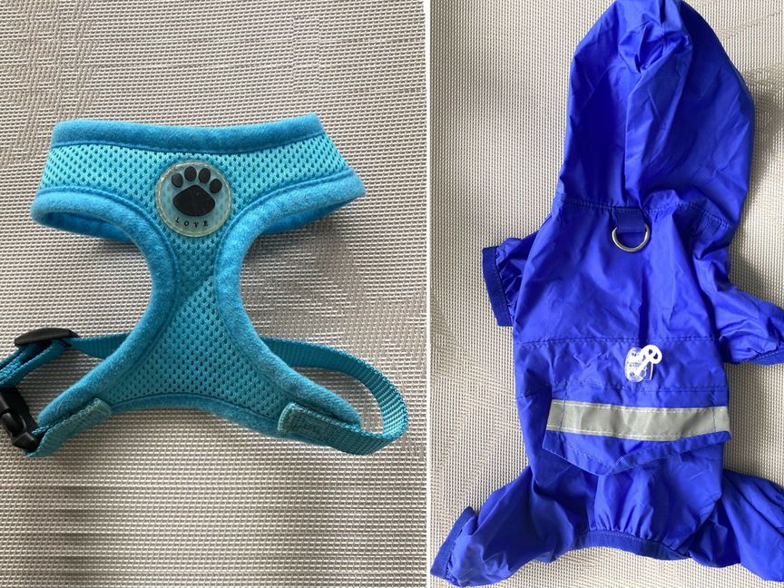 Шлейка и дождевик для щенка / маленькой собачки XS