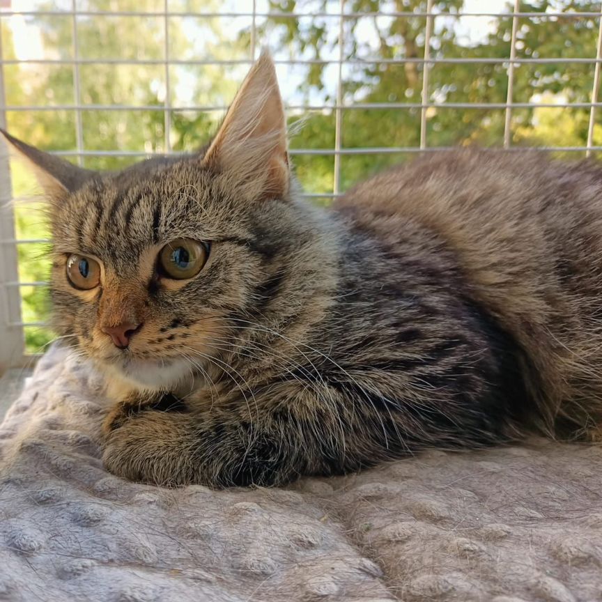 Кузьме (6 месяцев) нужен дом