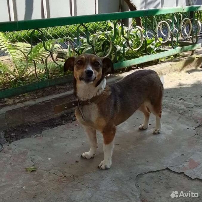 Милая девочка(присмотритесь к ней)её ждёт улица