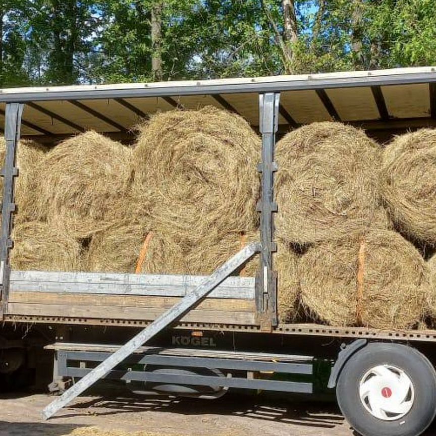Сено с доставкой