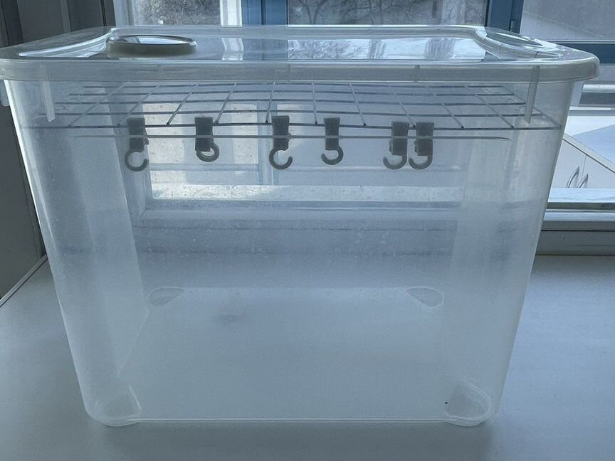 Ферма (инсектарий) для выведения бабочек