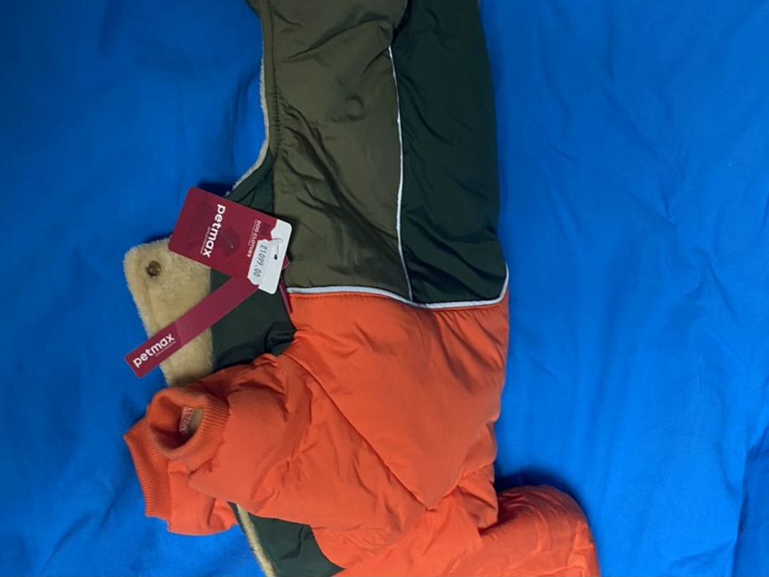 Костюм для собаки (мальчик)