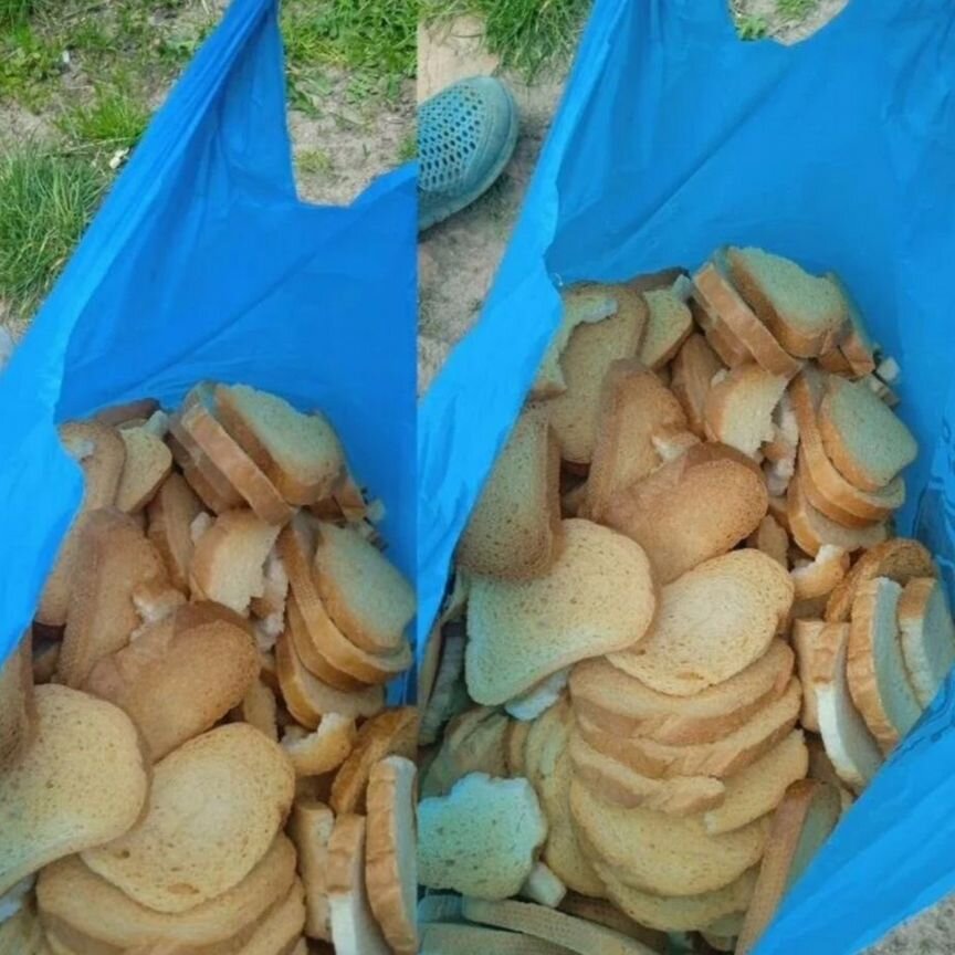 2 мешка Хлеб сухари для животных