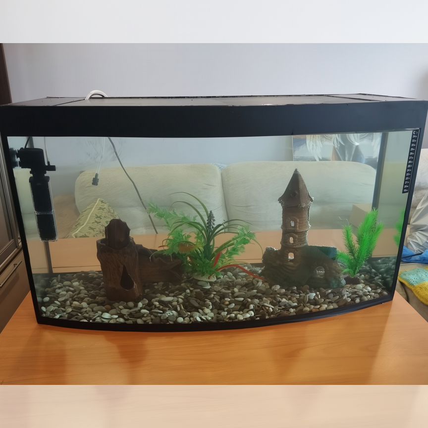 Аквариум 120л. Со всем содержимым
