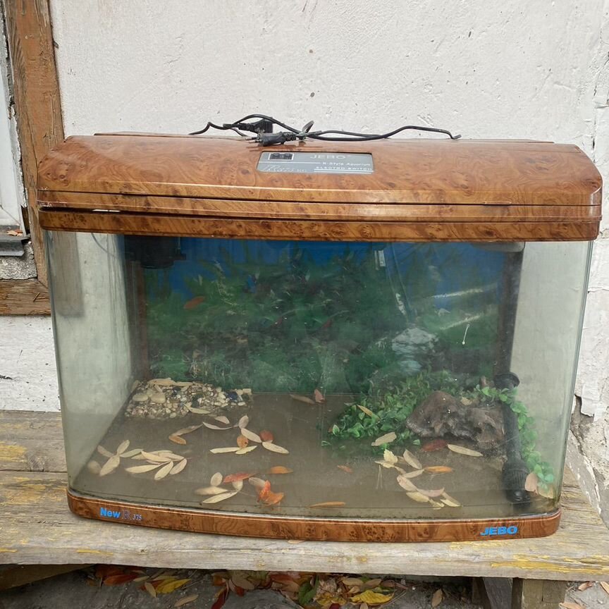 Аквариум