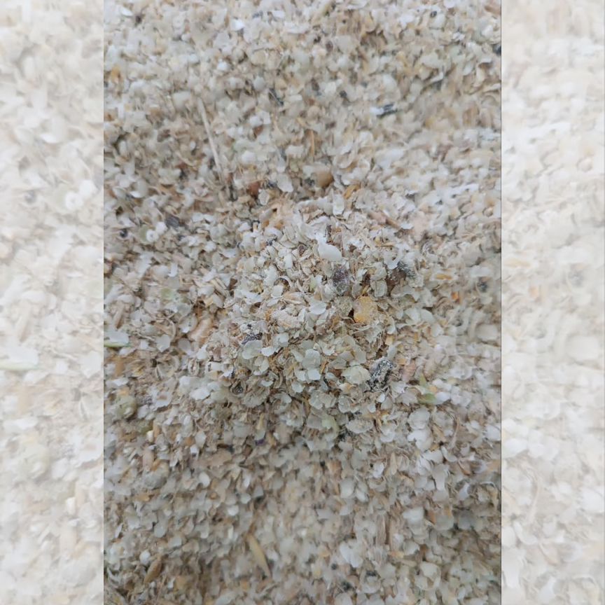 Зернодтходы ячмень овёс гороха пшеницы